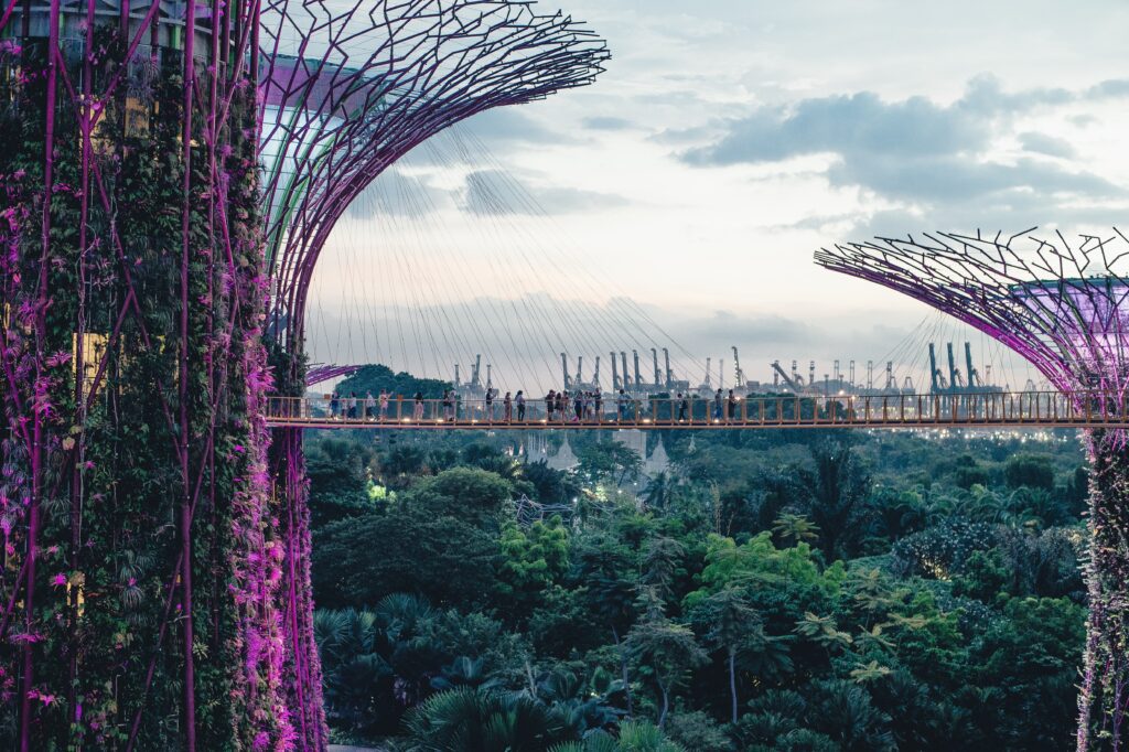 What is the Purpose of the Supertree Groves in Singapore?