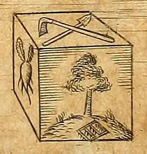 5 Platonic Solids Meanings & Symbolism (Sacred Geometry)