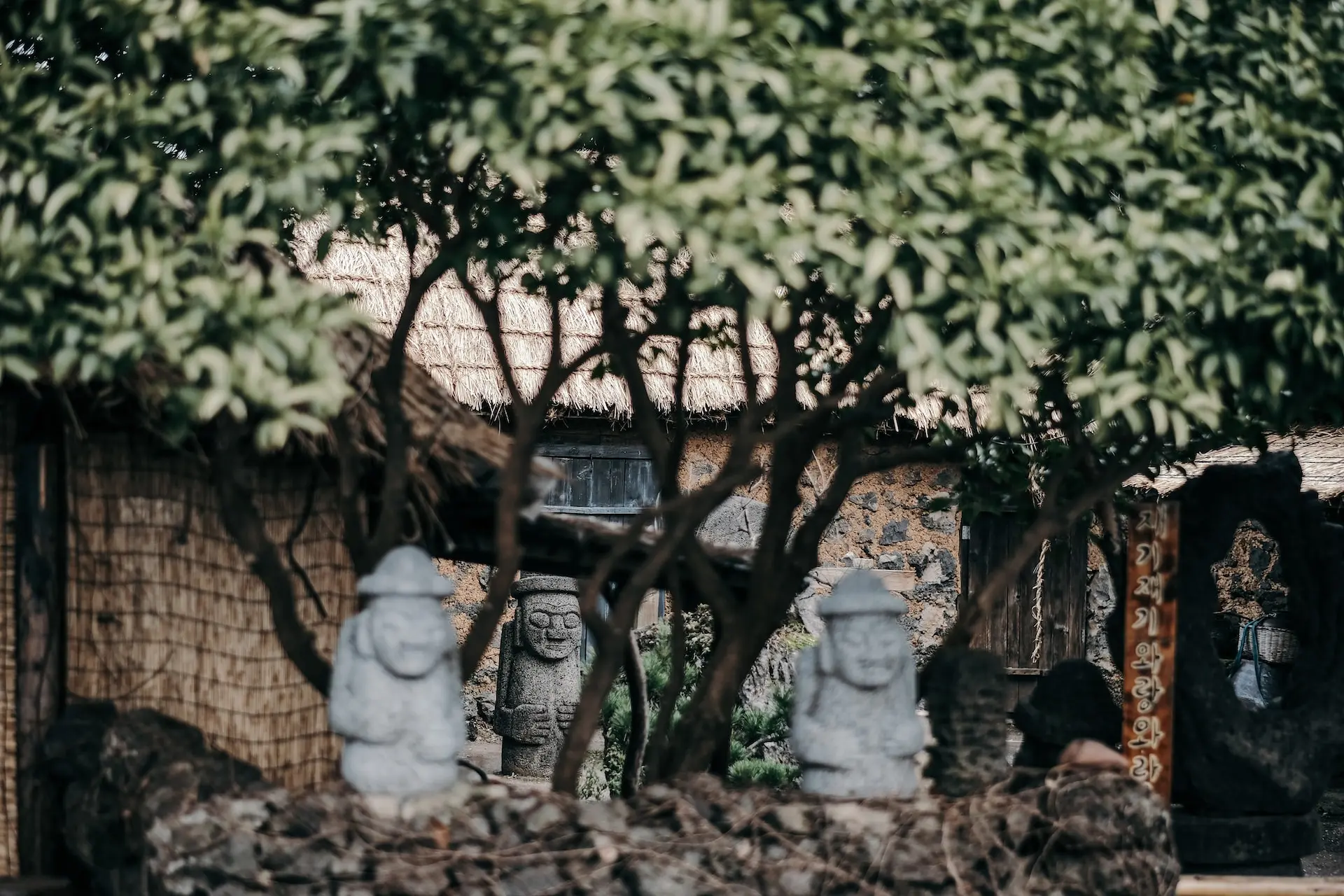 13 Delightful Things to Do on Nami Island (Namiseom)