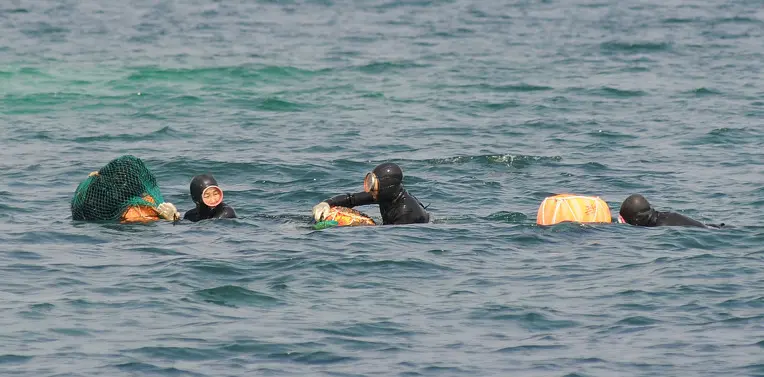 The Fading Culture of Haenyeo: Last Legacy of Women Divers