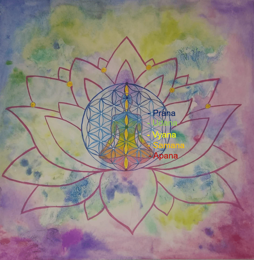 5 Types of Prana (and 5 Types of Upa-Prana)
