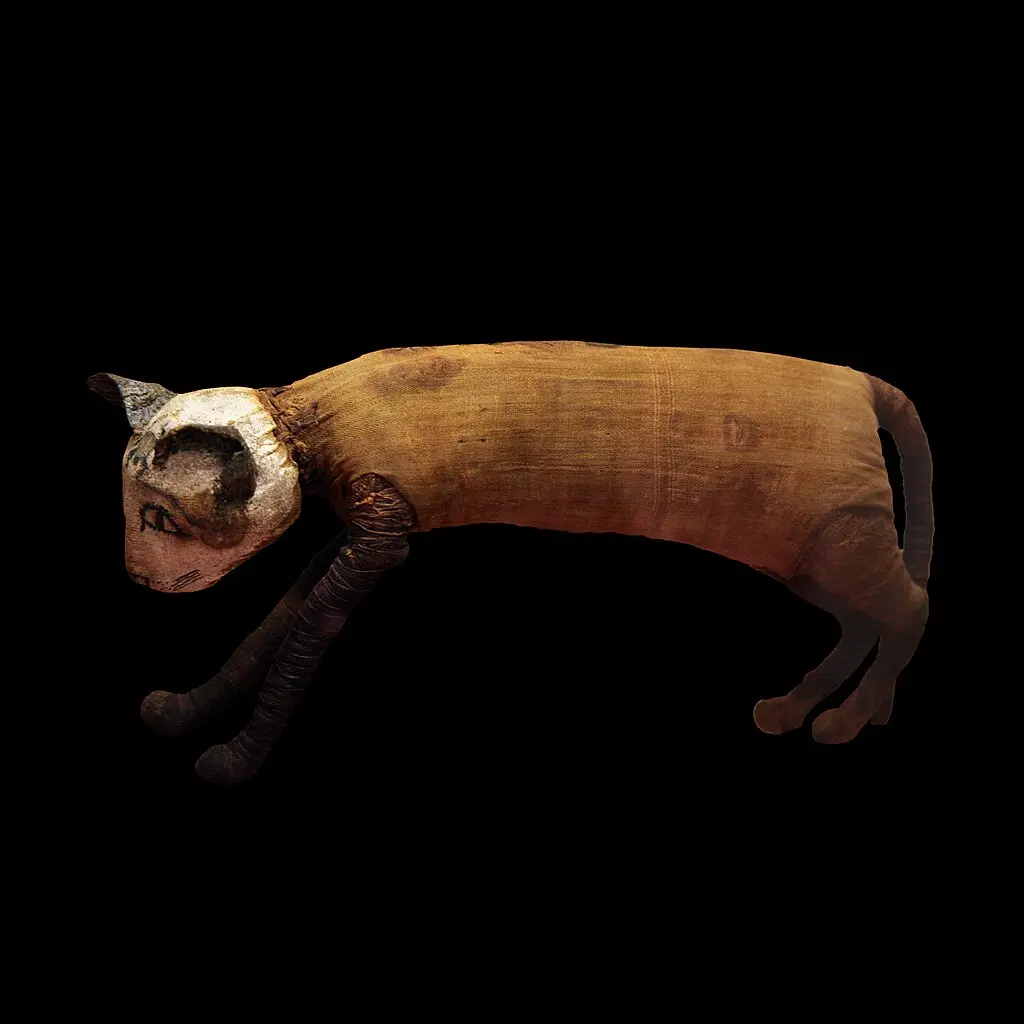 10 Incredible Facts About Cats in Ancient Egypt