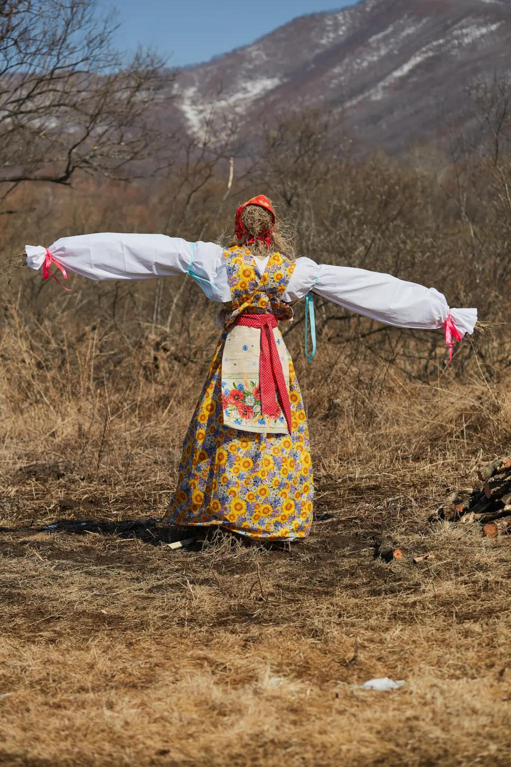 What is Slavic Paganism? | Meet 9 Deities (Slavic Mythology)