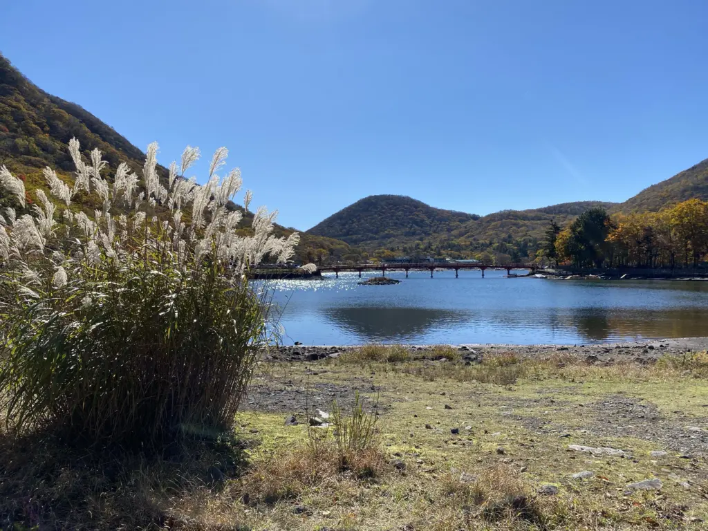 Mt. Akagi Hike | Complete Hiking Guide (2024)