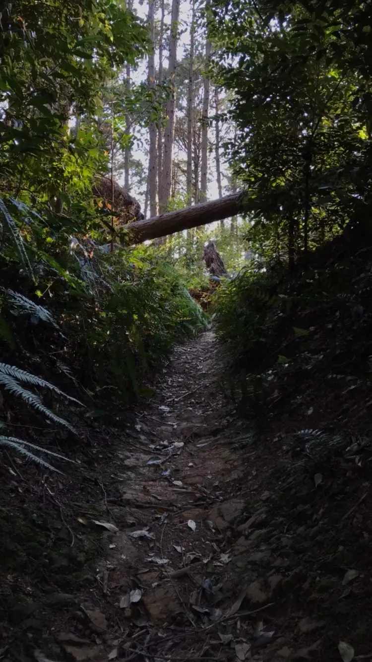 Mt. Kongo Hike | Complete Hiking Guide (2024)