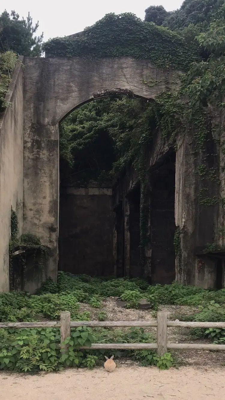 The Complete Travel Guide to Okunoshima (Rabbit Island)