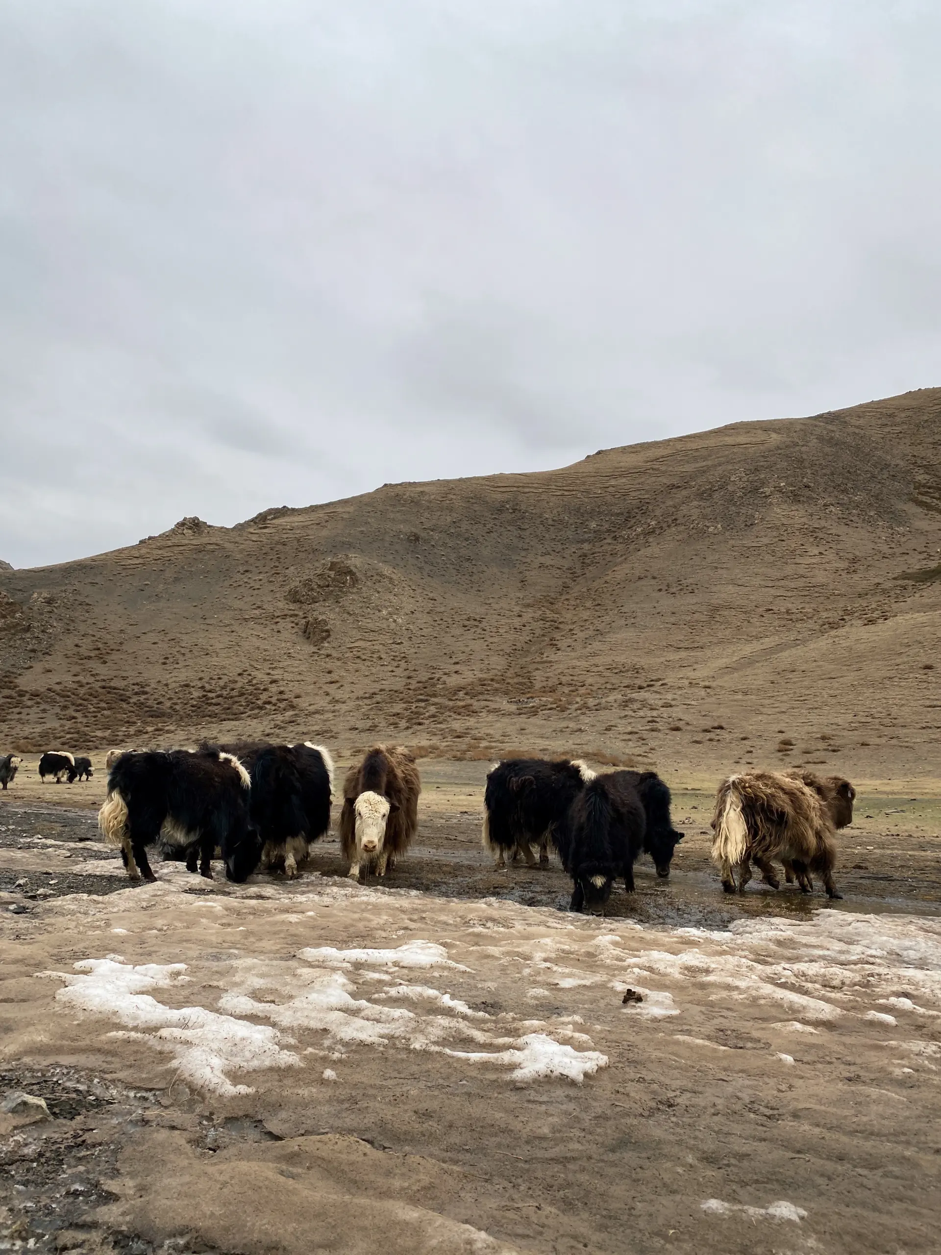 Cantonese Culture and Traditions - All You Need to Know