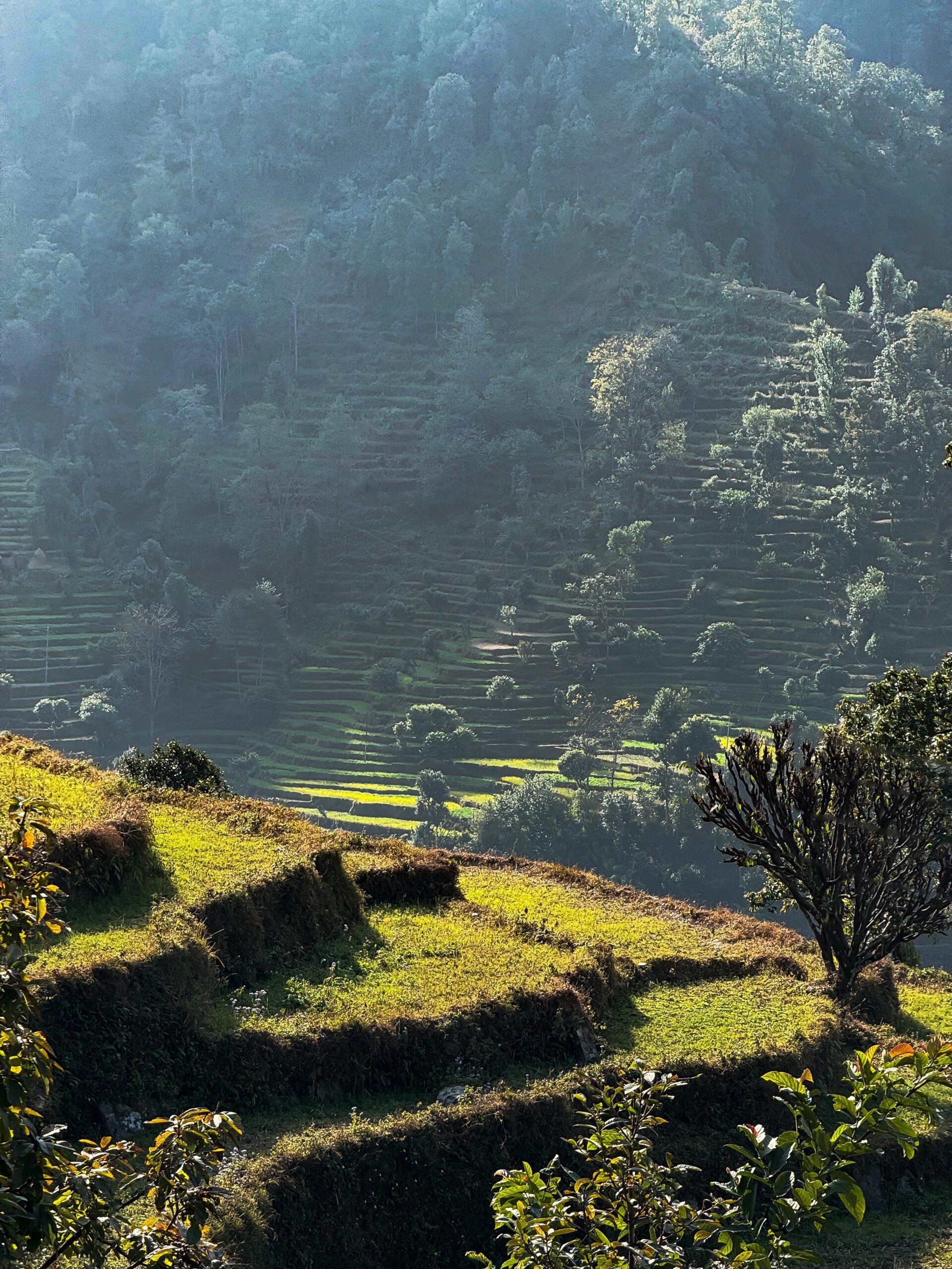 Who are the Gurung People? | A Deep Dive into Gurung Culture