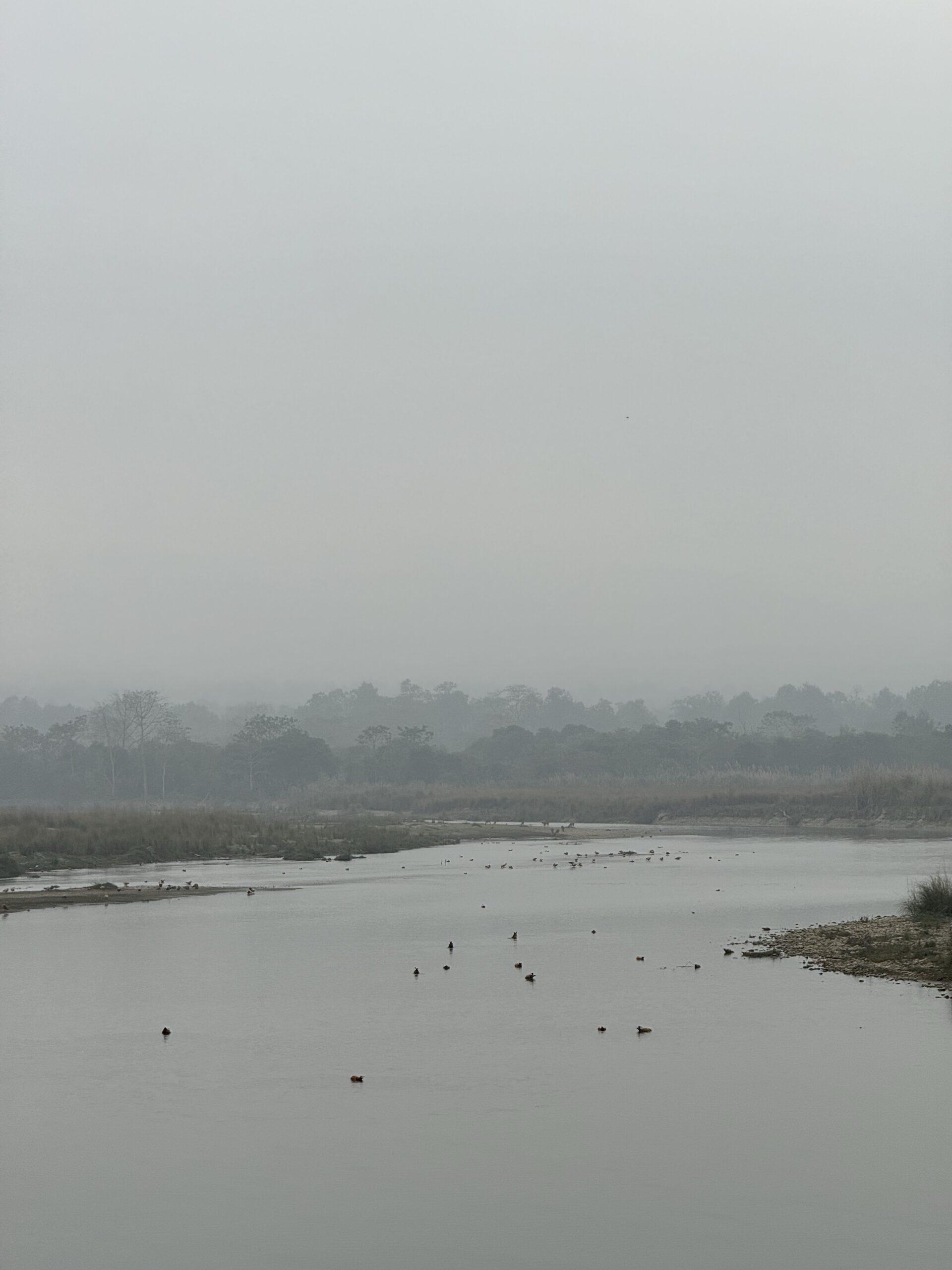 13 Awesome Things to Do in Chitwan, Nepal | A Travel Guide
