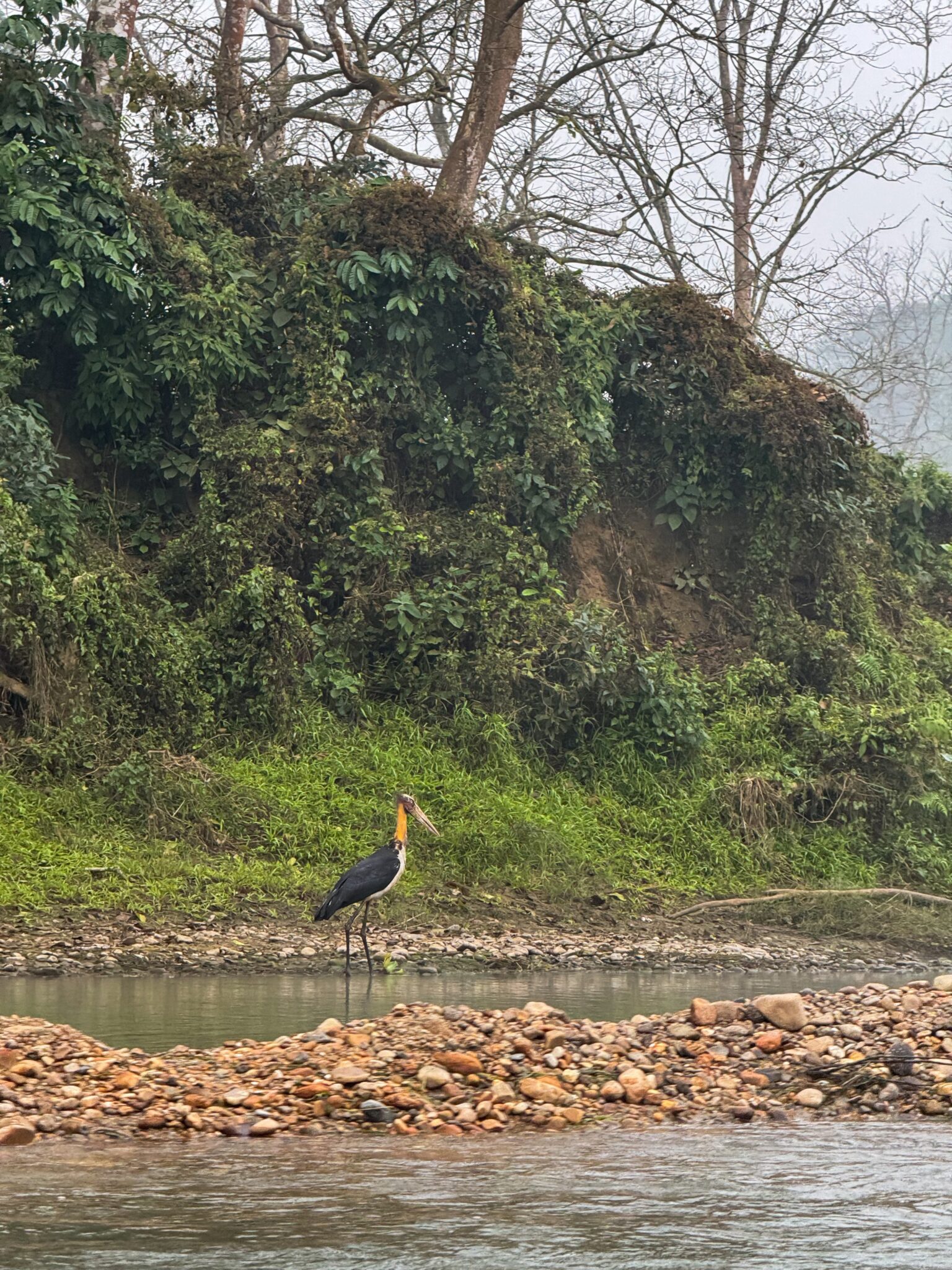 Who are the Tharu People? | A Deep Dive into Tharu Culture