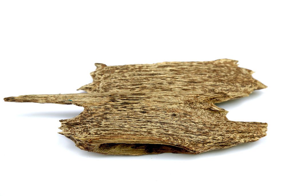 Agarwood vs Sandalwood | The Art of Incense