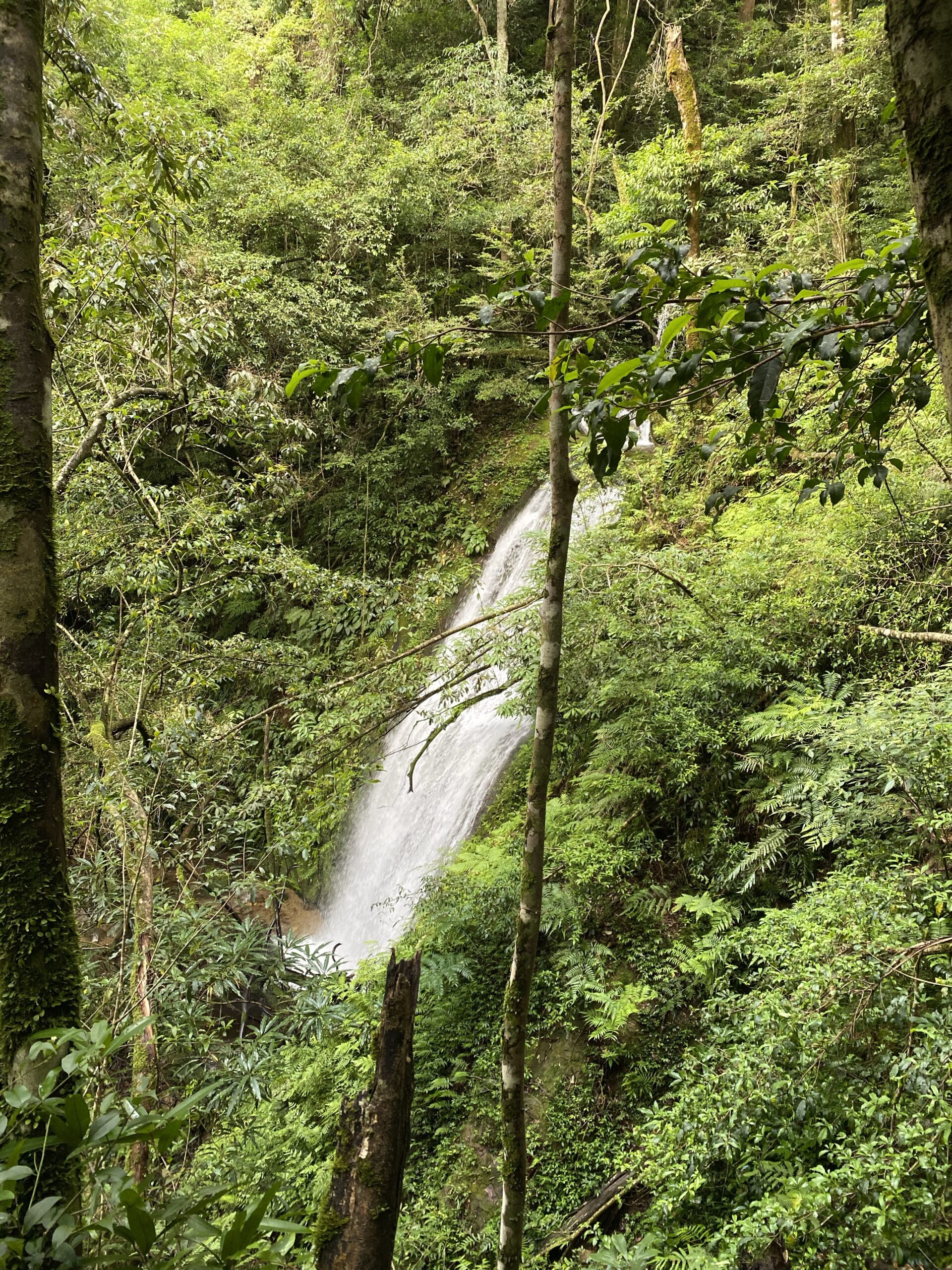 Kaeda Valley Hike | A Miyazaki Daytrip