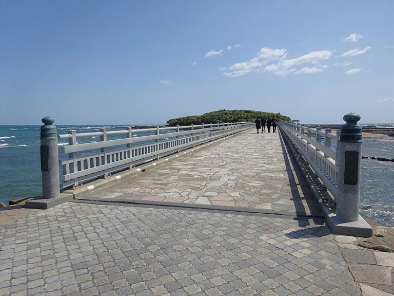 7 Amazing Things to Do on Aoshima Island | Miyazaki Day Trip